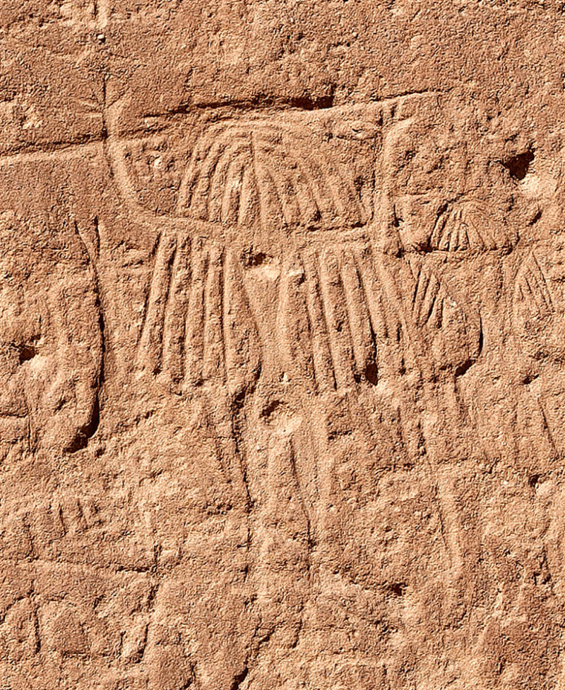 Bi'r Hima - Arabian Rock Art Heritage