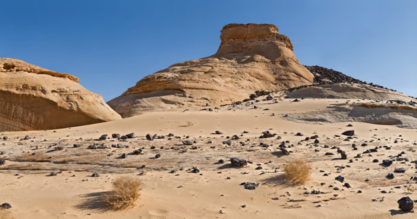 Tayma - Arabian Rock Art Heritage