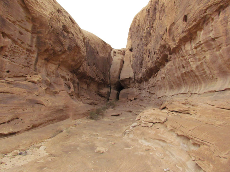 Al Ula - Arabian Rock Art Heritage