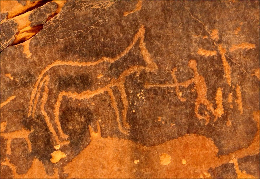 Onager or African Wild Ass - Arabian Rock Art Heritage