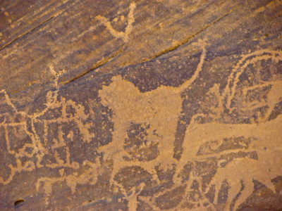 Lion - Arabian Rock Art Heritage