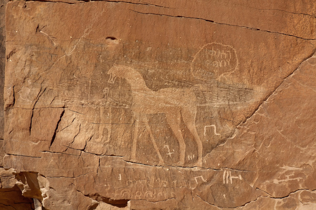 Qatan cavalry, Bir Hima - Arabian Rock Art Heritage