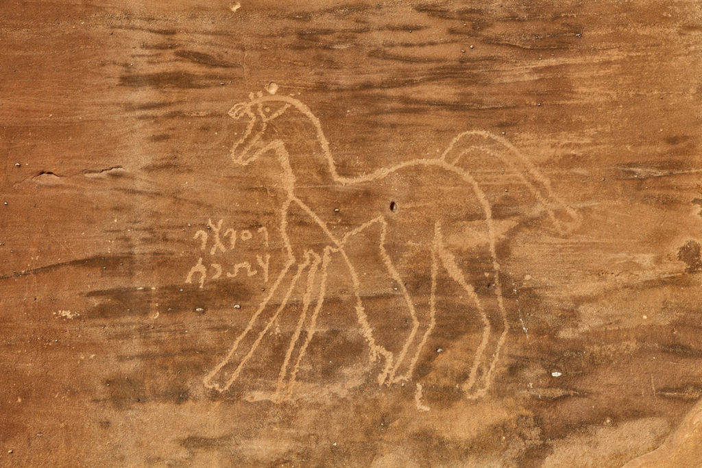 Jabala horse with bridle, Tayma - Arabian Rock Art Heritage