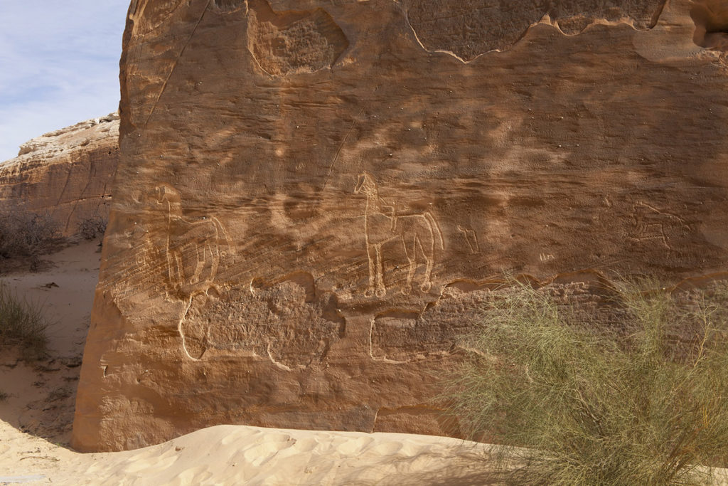 Jabu Arabian horses, Tayma - Arabian Rock Art Heritage